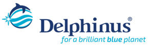 Dolphins pictures, Xcaret Photo, Xel-ha Photos| Photo Delphinus